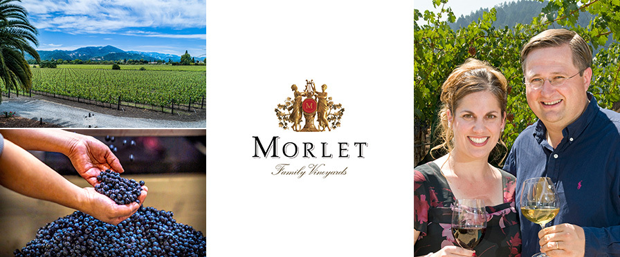 신세계 L&B > 와인 > 몰레 패밀리 빈야드 꾸 드 꾀르